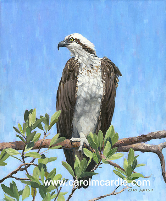 Florida paintings for sale
